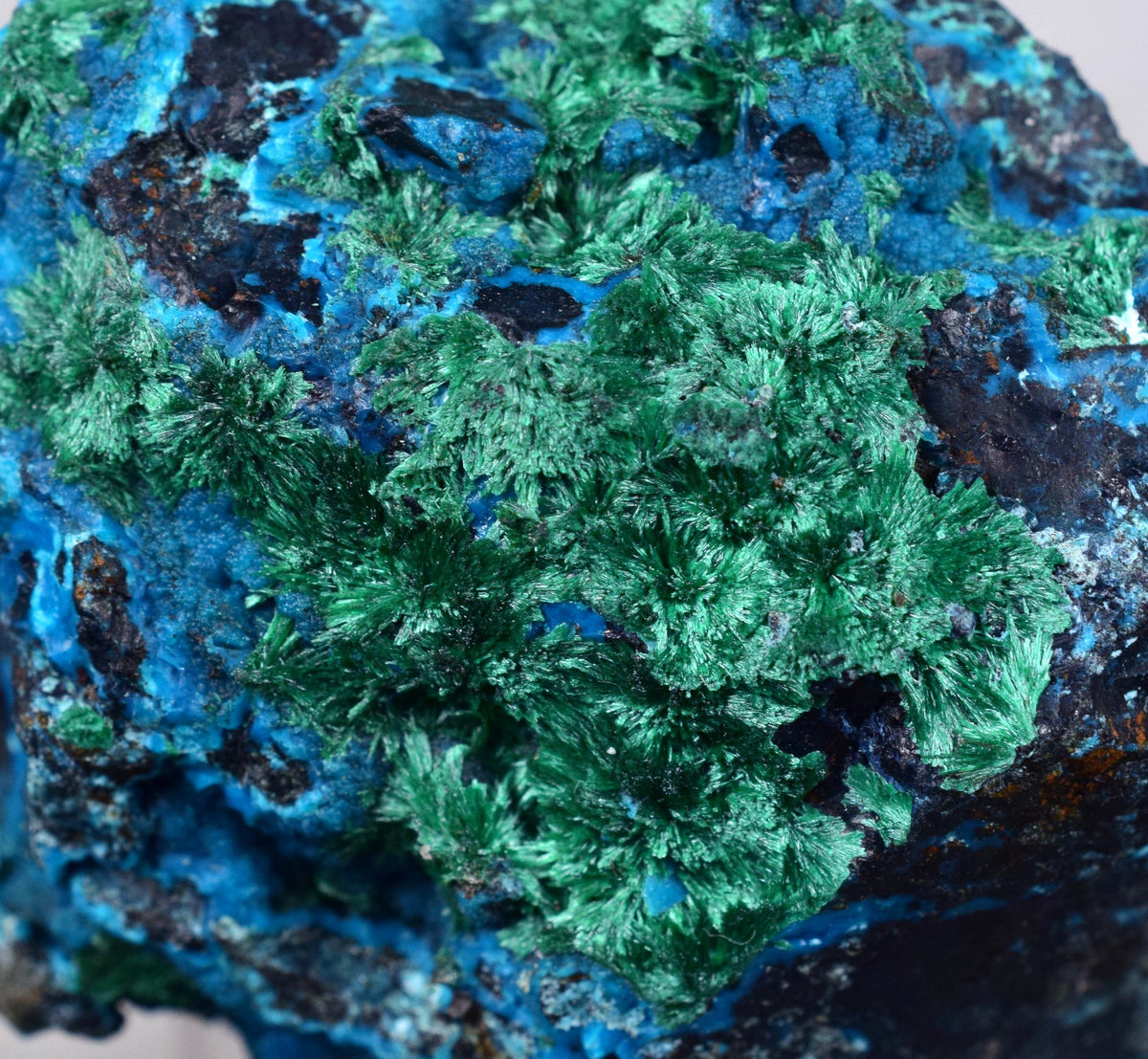 6.2cm CHRYSOCOLLA MALACHITE BROCHANTHITE AZURITE ROUGH BANDED PERU MIN ...